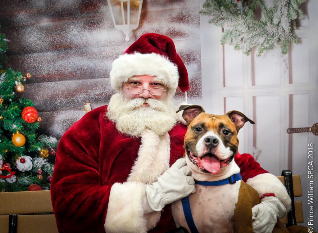Pet Photos with Santa – Prince William SPCA