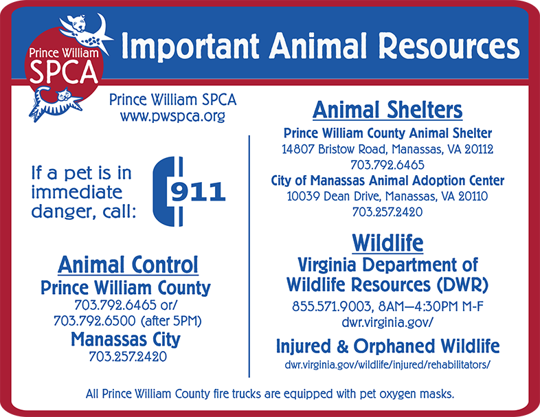 Animal Safety – Prince William SPCA